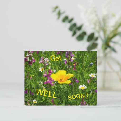 Summer Flowers Get Well Soon Postcard | Zazzle