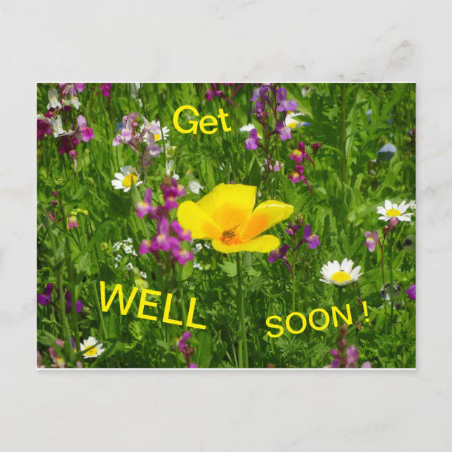 Summer Flowers Get Well Soon Postcard | Zazzle