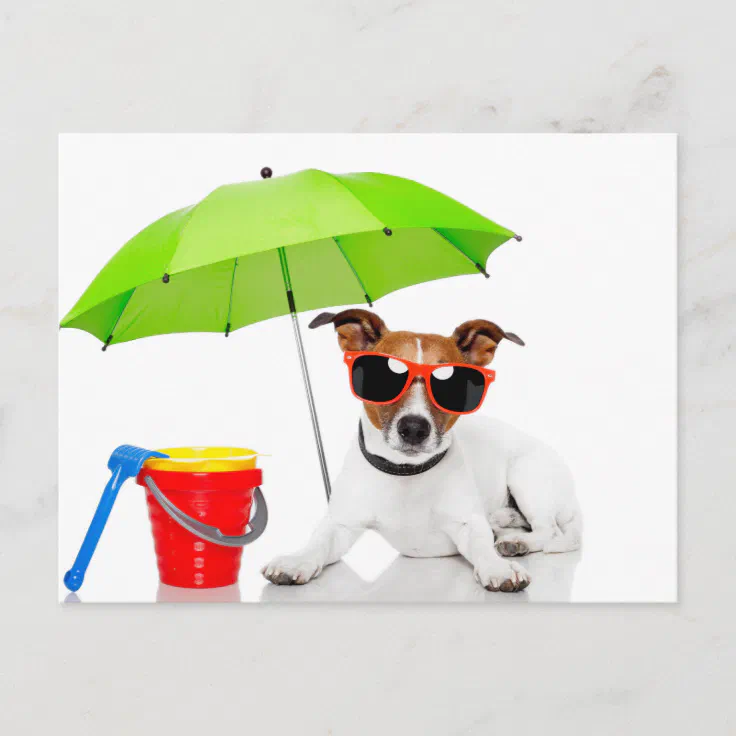 Summer Fun Postcard | Zazzle