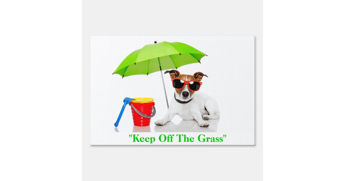 Summer Fun Sign | Zazzle