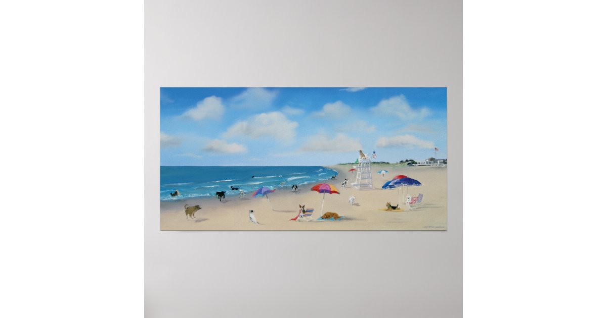 Summer Paws Poster | Zazzle