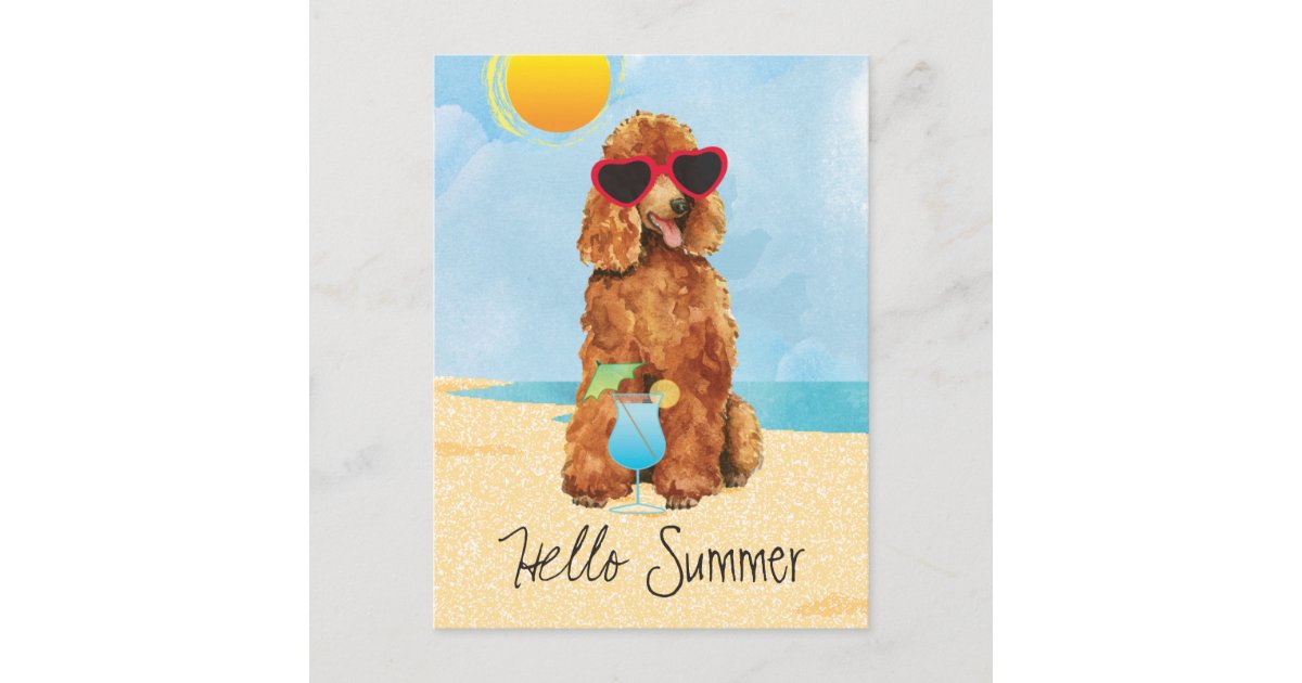 Summer Poodle Postcard | Zazzle