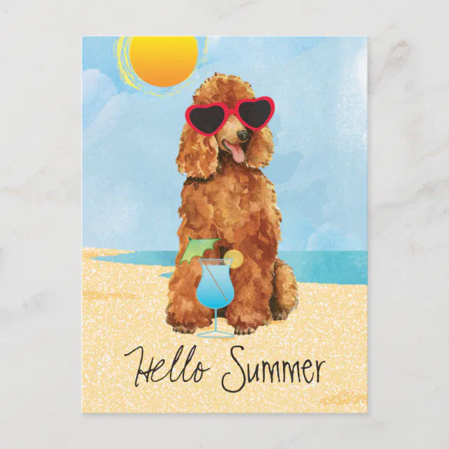 Summer Poodle Postcard | Zazzle