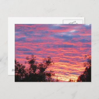 Summer Sunset Postcard | Zazzle