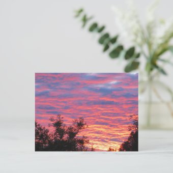 Summer Sunset Postcard | Zazzle