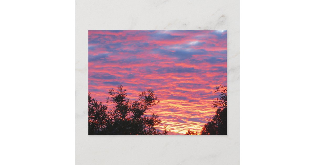 Summer Sunset Postcard | Zazzle