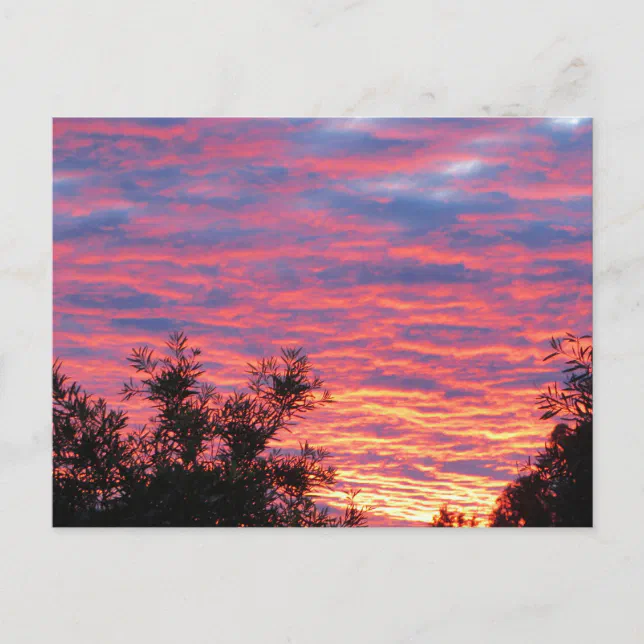 Summer Sunset Postcard | Zazzle