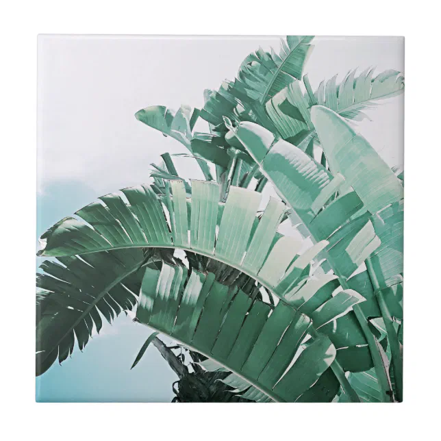 Summer Vibes Banana Leaves Pale Green Ceramic Tile | Zazzle
