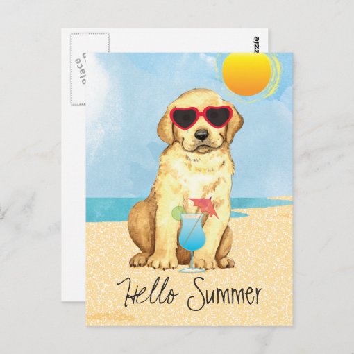Summer Yellow Lab Postcard | Zazzle