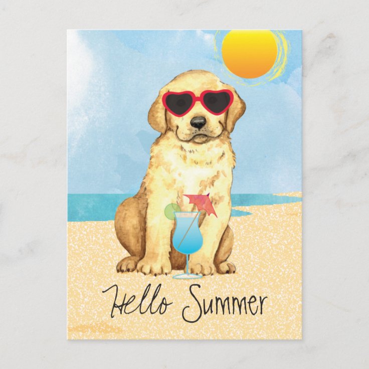 Summer Yellow Lab Postcard | Zazzle