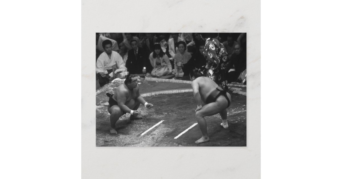 SUMO Wrestling Postcard | Zazzle