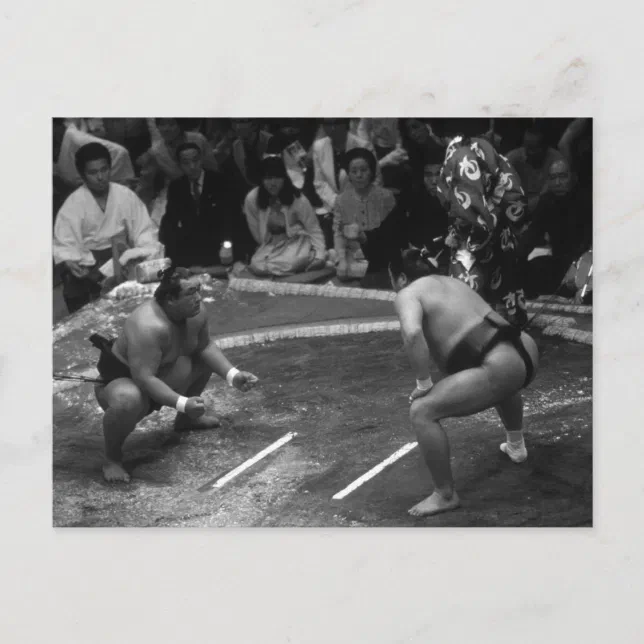 SUMO Wrestling Postcard | Zazzle