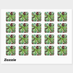 Sun Hosta Square Sticker | Zazzle
