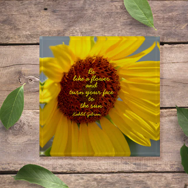 Sunflower Be Like a Flower quote Paperweight | Zazzle
