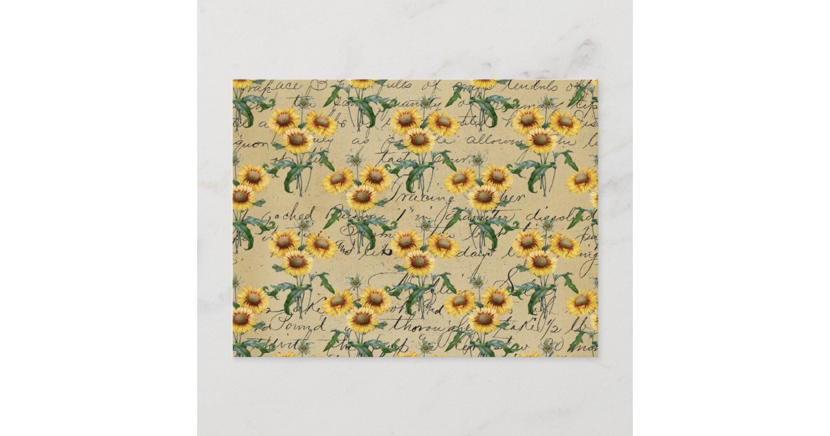 Sunflower Bunches and Cursive Postcard | Zazzle