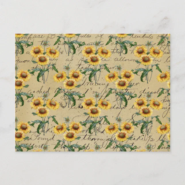 Sunflower Bunches and Cursive Postcard | Zazzle