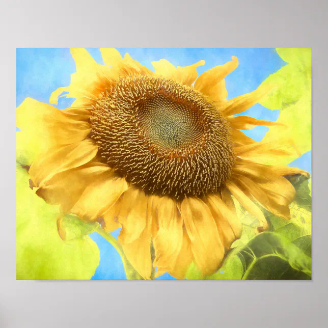 Sunflower Country Rustic Yellow Watercolor Poster | Zazzle