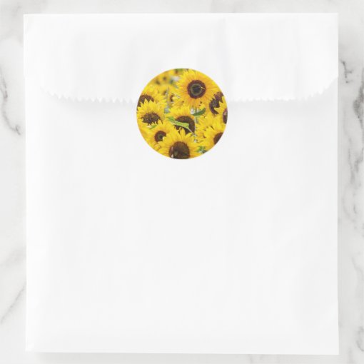 Sunflower Envelope Seal Stickers | Zazzle