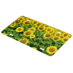 Sunflower Fields License Plate | Zazzle