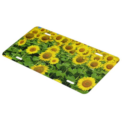 Sunflower Fields License Plate | Zazzle