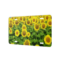 Sunflower Fields License Plate | Zazzle