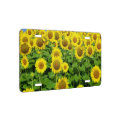 Sunflower Fields License Plate | Zazzle