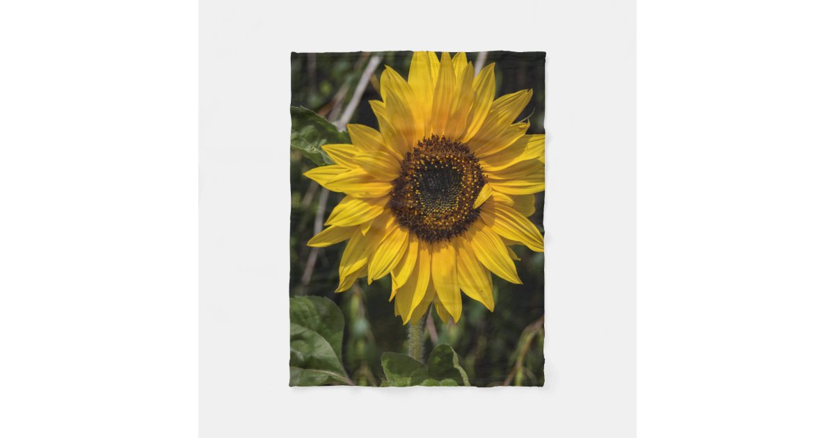Sunflower Fleece Blanket | Zazzle