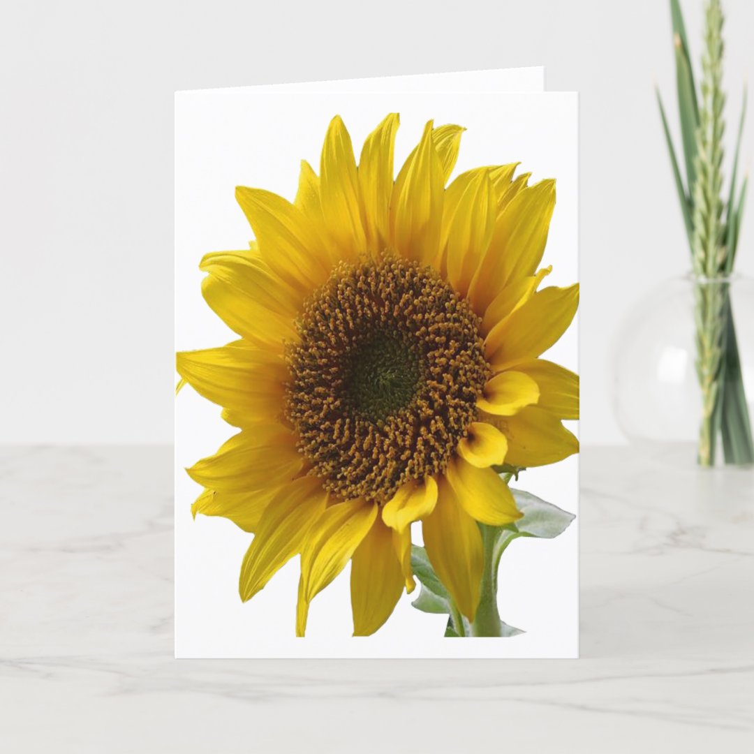 Sunflower greeting Card for Her | Zazzle