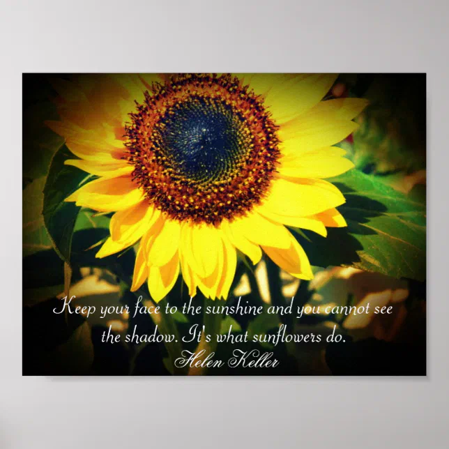 Sunflower Helen Keller Quote: Uplifting Poster | Zazzle