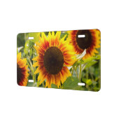 Sunflower License Plate | Zazzle