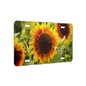 Sunflower License Plate | Zazzle
