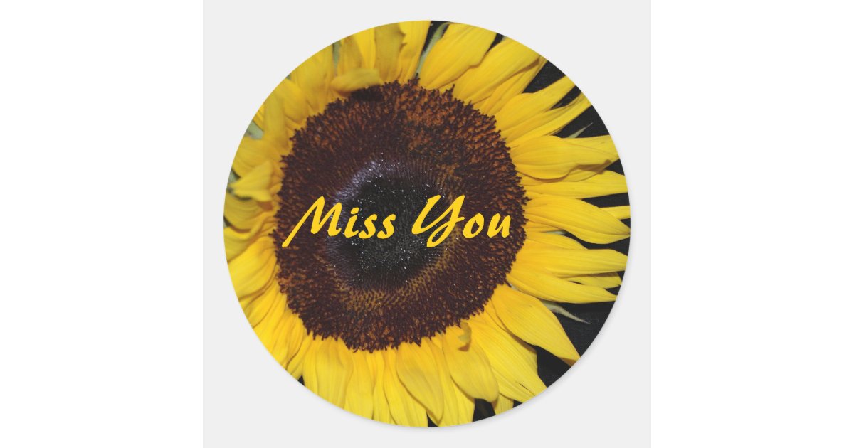Sunflower, Miss You Classic Round Sticker | Zazzle