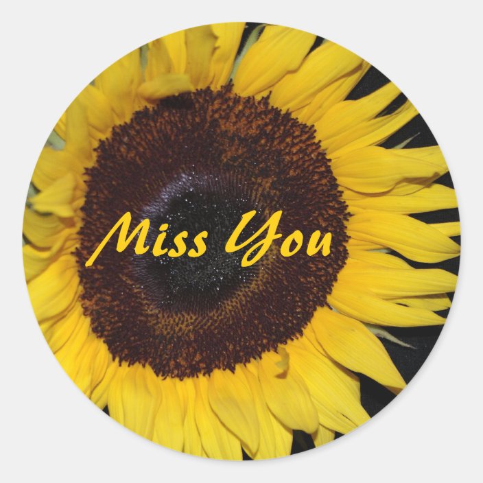 Sunflower, Miss You Classic Round Sticker | Zazzle.com