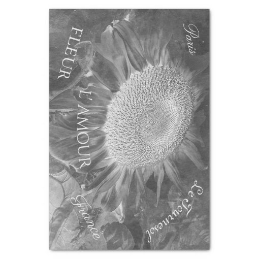 Sunflower Negative Black And White Vintage Script Tissue Paper | Zazzle