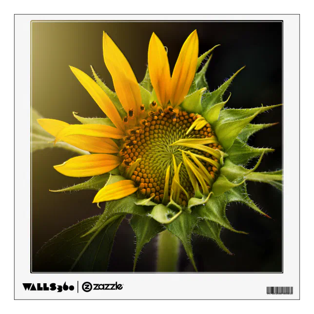 Sunflower Opening in Full Bloom Wall Decal | Zazzle
