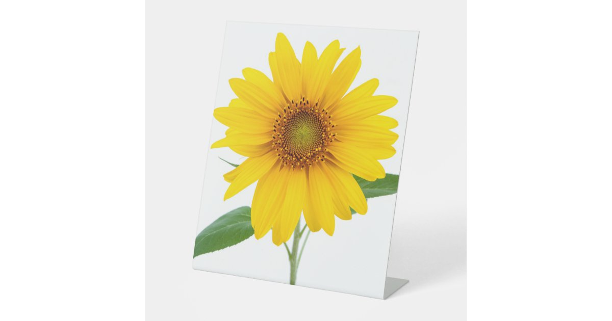 Sunflower Pedestal Sign | Zazzle
