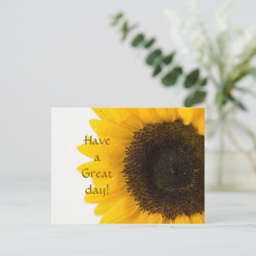 Sunflower Postcard | Zazzle
