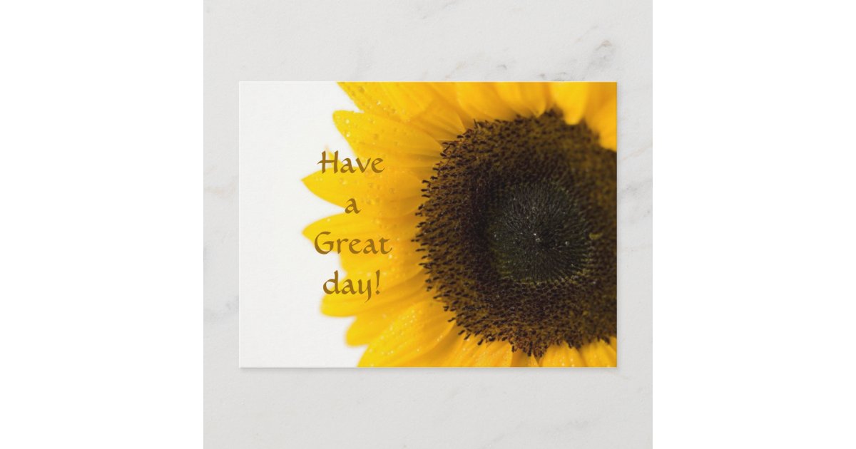 Sunflower Postcard | Zazzle