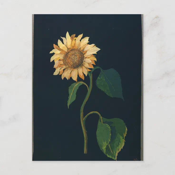 Sunflower Postcard | Zazzle