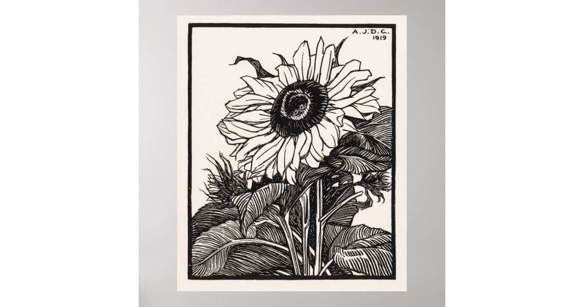 Sunflower Poster | Zazzle