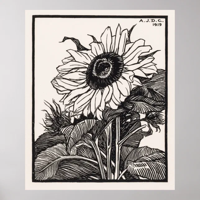 Sunflower Poster | Zazzle