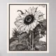 Sunflower Poster | Zazzle