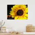 Sunflower Poster | Zazzle