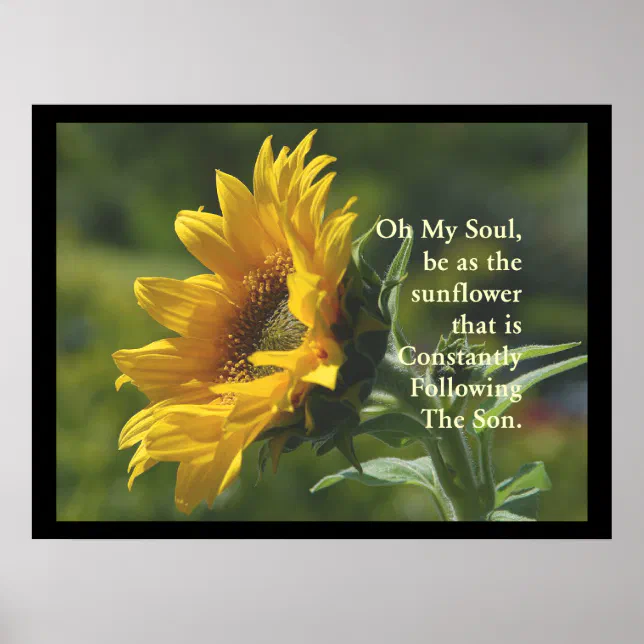 SunFlower Poster | Zazzle