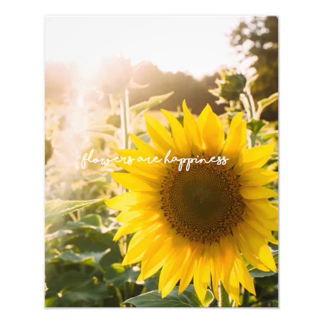 Sunflower quote "flowers are happiness" photo print | Zazzle