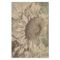 Sunflower Sepia Tone Brown Art Texture Decoupage Tissue Paper | Zazzle