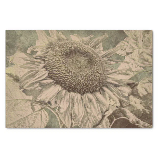 Sunflower Sepia Tone Brown Art Texture Decoupage Tissue Paper | Zazzle