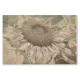 Sunflower Sepia Tone Brown Art Texture Decoupage Tissue Paper | Zazzle