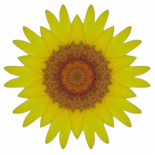 Sunflower - Sunflower (04) Acrylic Cut Out