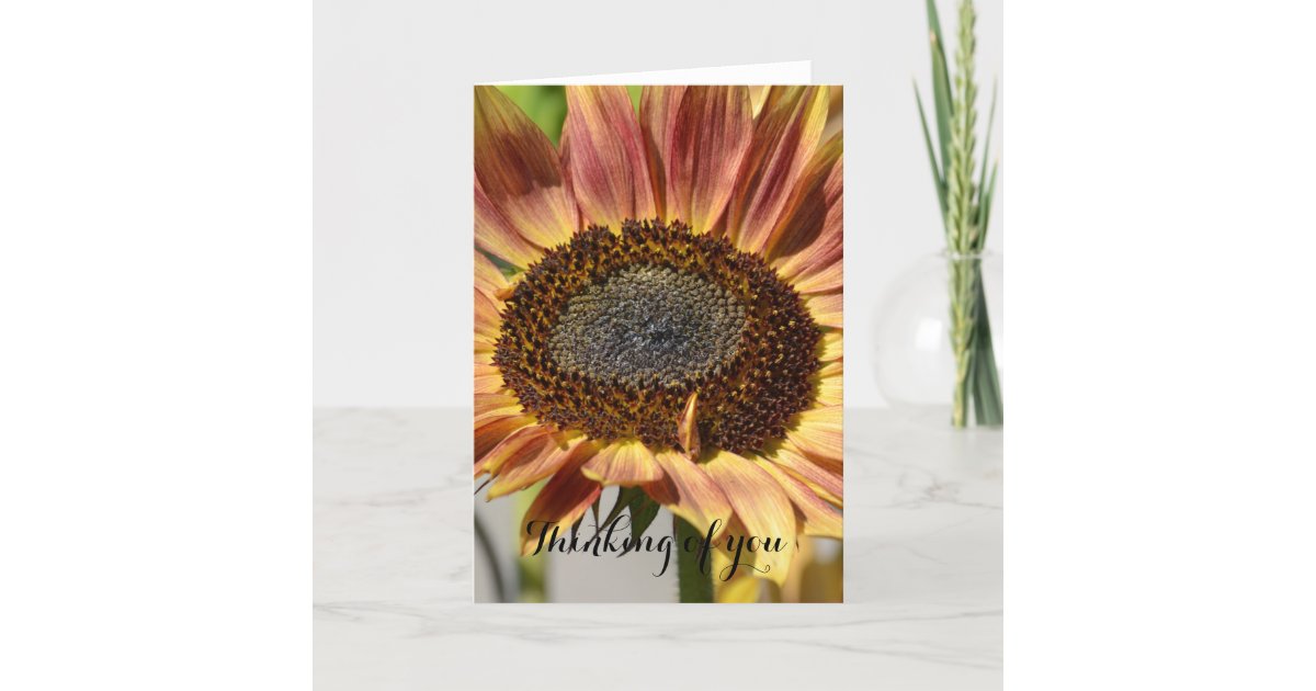 Sunflower Thinking of You Card | Zazzle